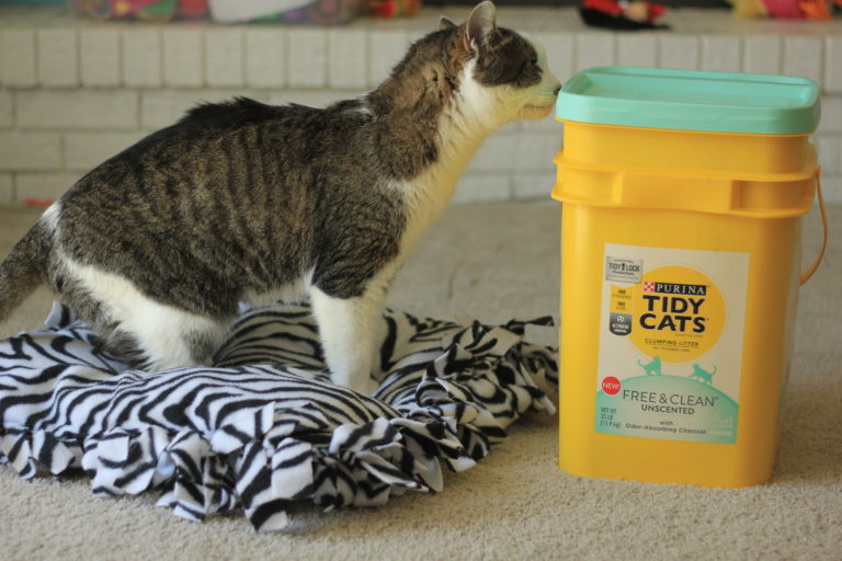 Treat your Cat with Tidy Cat + DIY Cat Bed - A Sprinkle of Joy